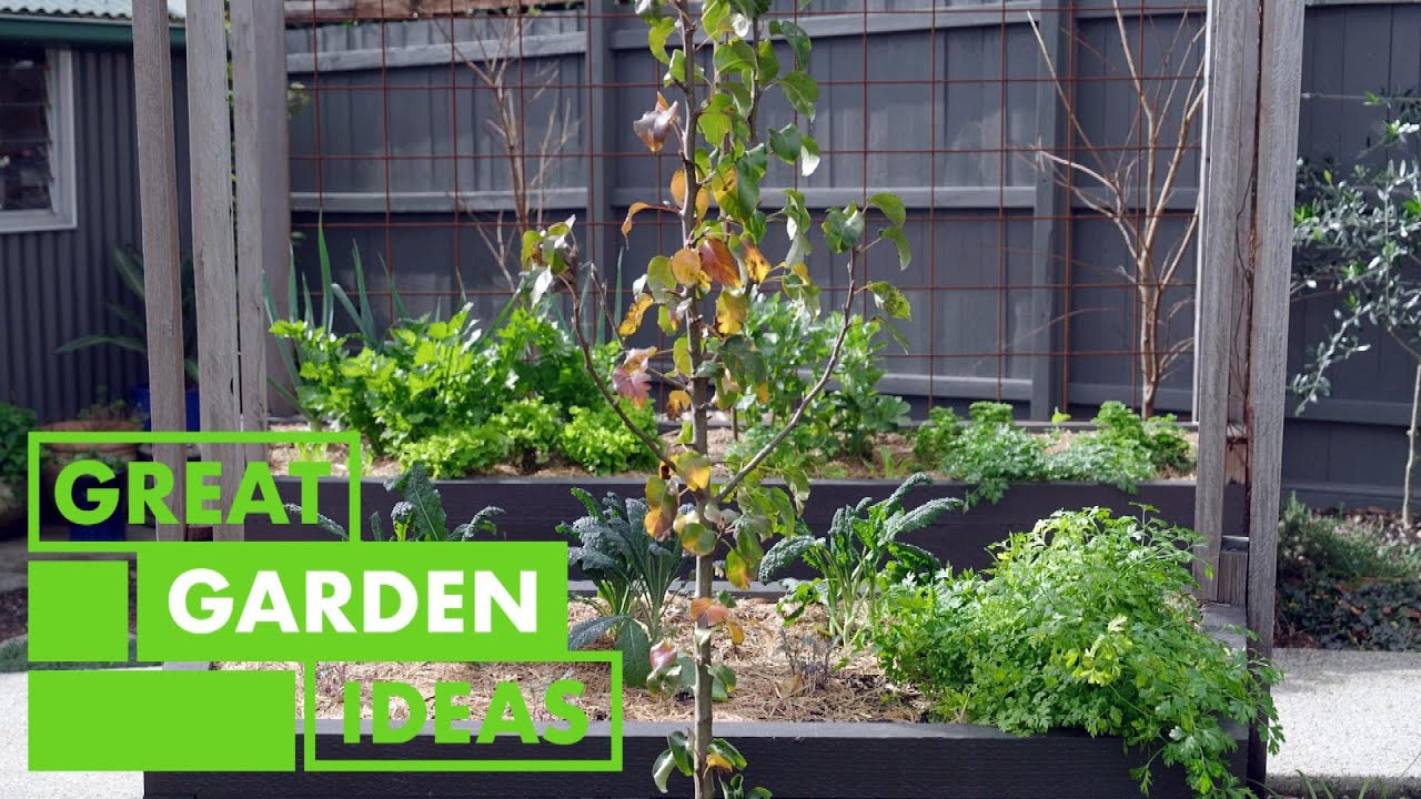 Family Backyard Makeover | GARDEN | Great Home Ideas - YouTube