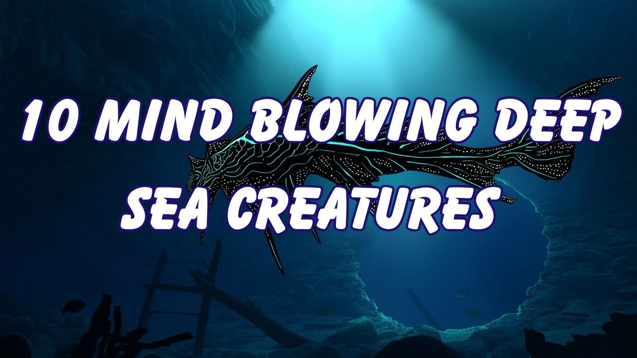 10 Mind-Blowing Sea Creatures You Won’t Believe Exist! Bioluminescent ...