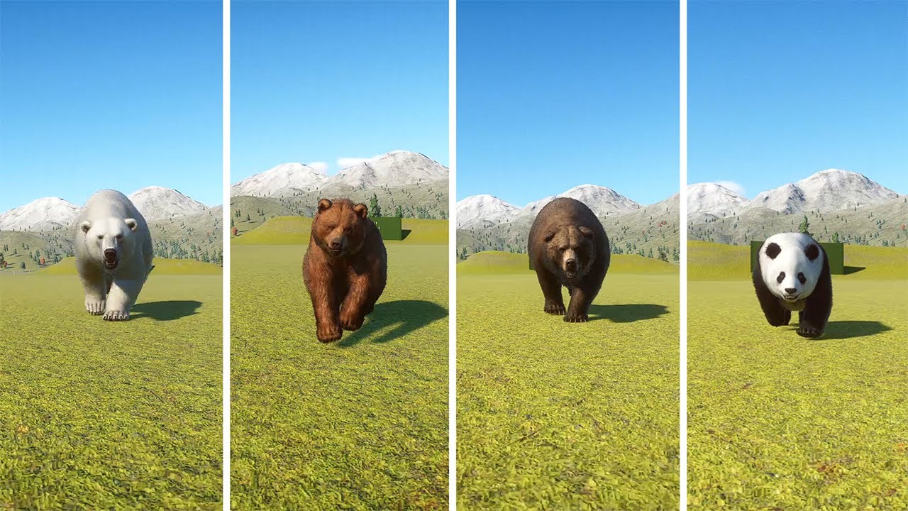 Bear Race in Planet Zoo - F. Black Bear, Giant Panda, Grizzly Bear ...