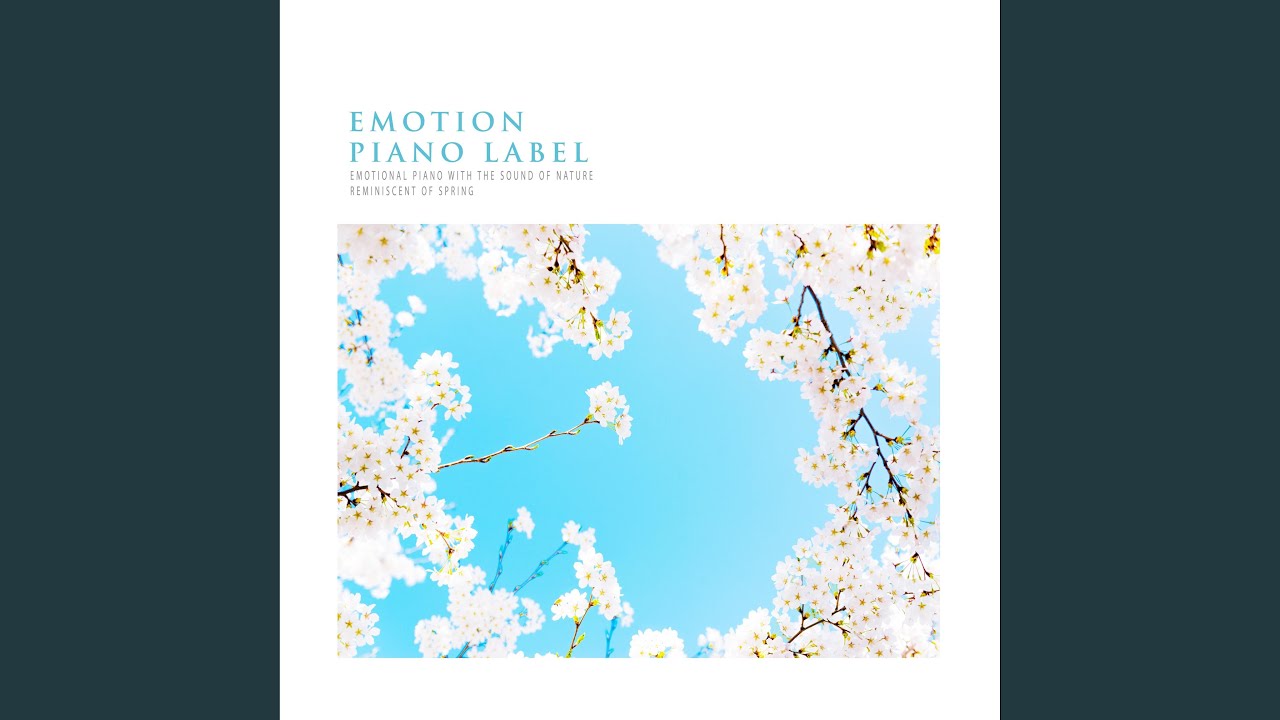 I whistle And Walk (Nature Ver.) - YouTube