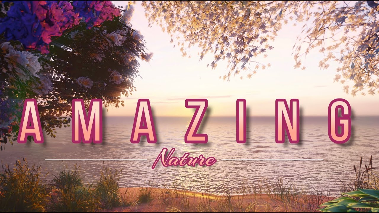 Amazing Nature- Calming Music and Nature Sounds for the Best Nights ...