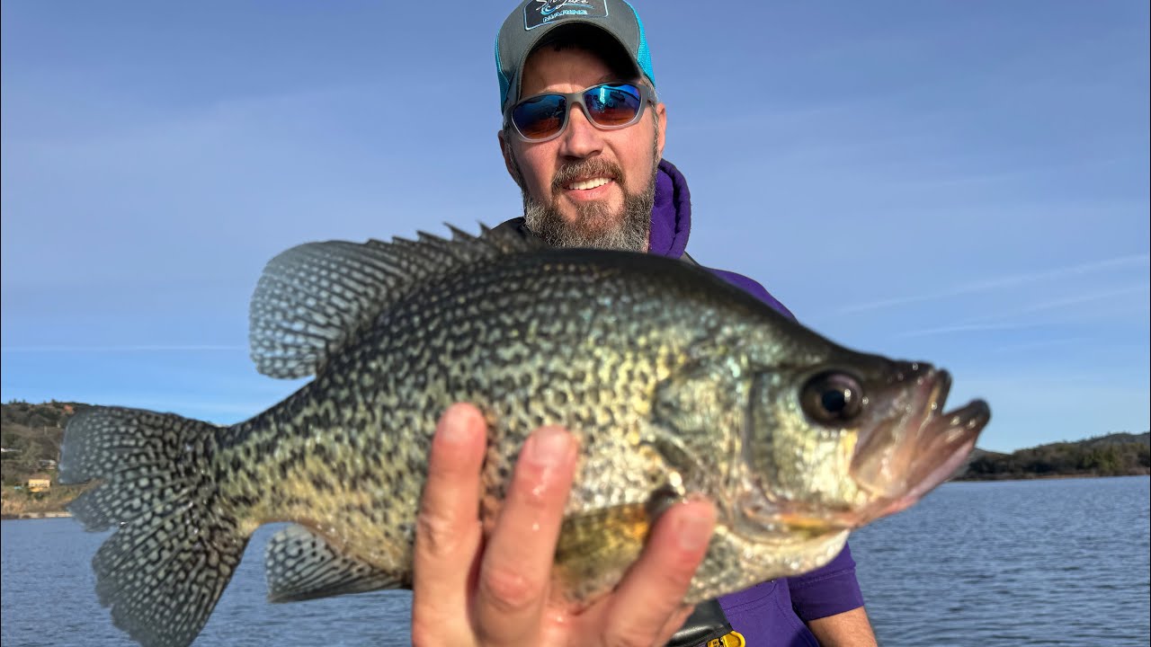 3 Pound crappie are in Clear Lake California - YouTube