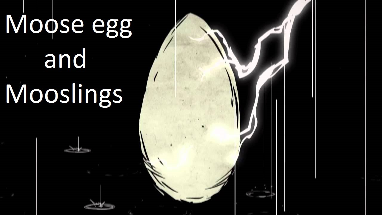 Don't Starve RoG - Moose egg and moslings. - YouTube