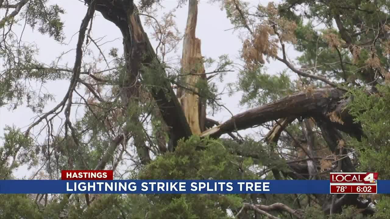 Lightning Strikes, Splits Tree - YouTube