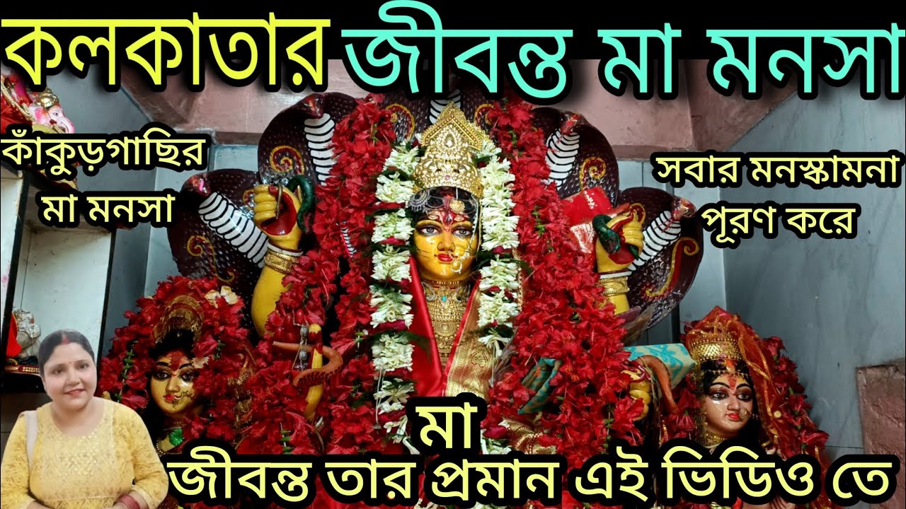 জীবন্ত মা মনসা মন্দির কলকাতা|| Maa Manasa Mandir Kankurgachi || জাগ্রত ...