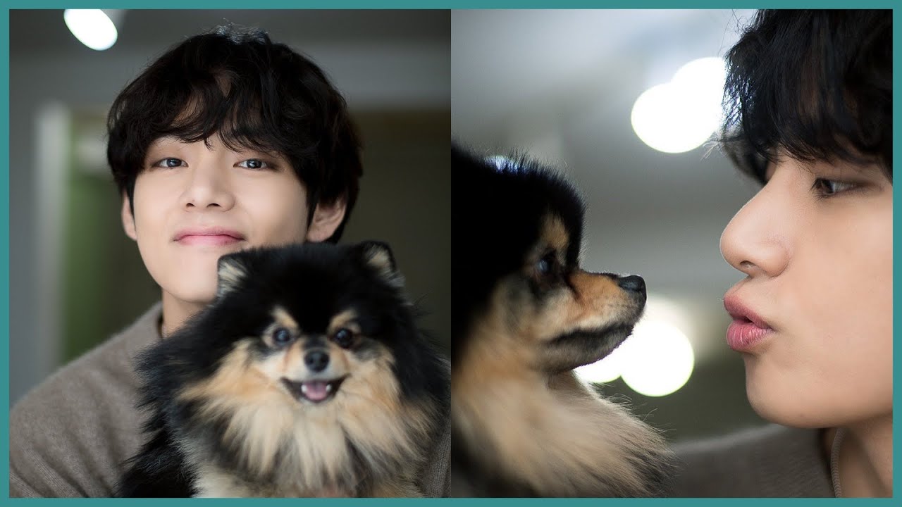 BTS V - Taehyung and Tannie Moments - YouTube