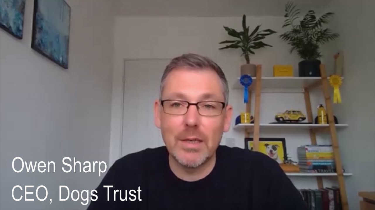 Owen Sharp, CEO, Dogs Trust on working with Martyn Drake - YouTube