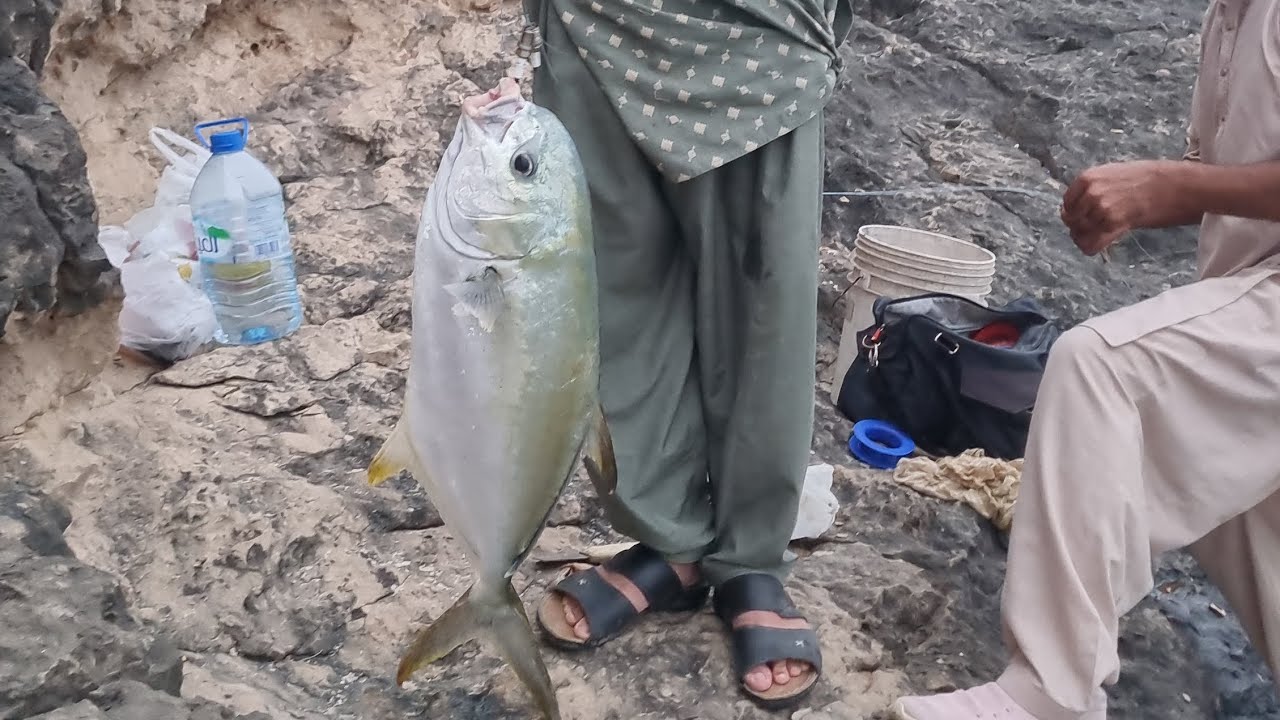 big fish catch in salalah oman..‎. @Deepbluesea07 @itmeenavan ...