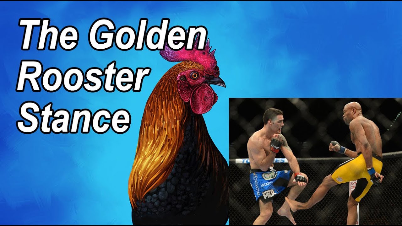 Power Of The Kung Fu Golden Rooster Stance - YouTube