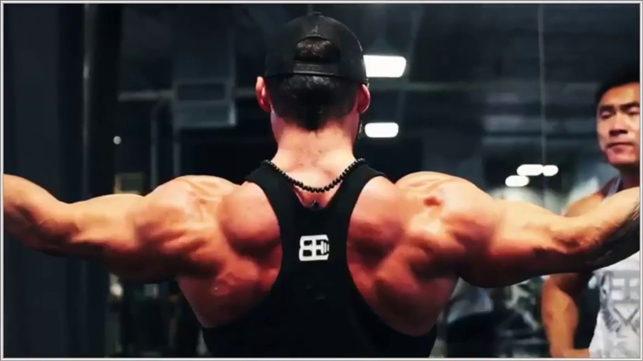 Hot Men Bodybuilding Workouts body engineers official - YouTube