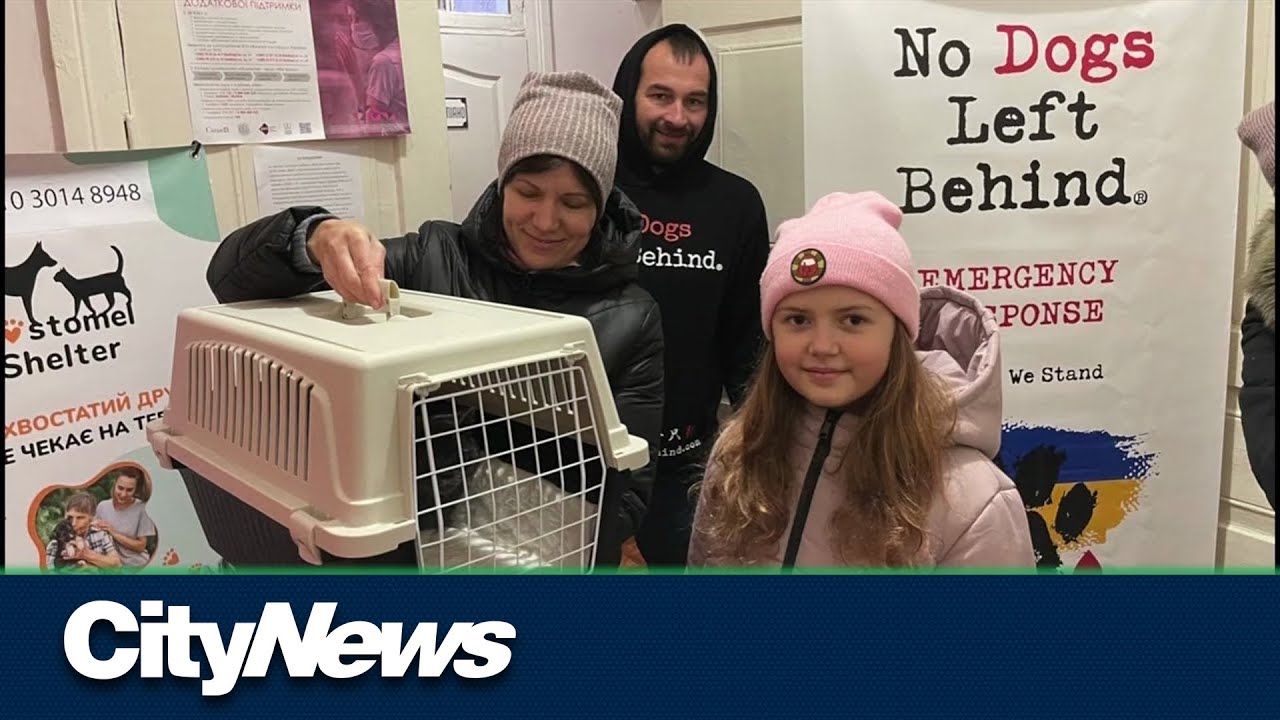 "No Dogs Left Behind" in Ukraine - YouTube