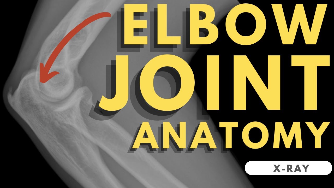 Elbow Joint Anatomy Radiology Anatomy Part 1 Prep Elbow Bones