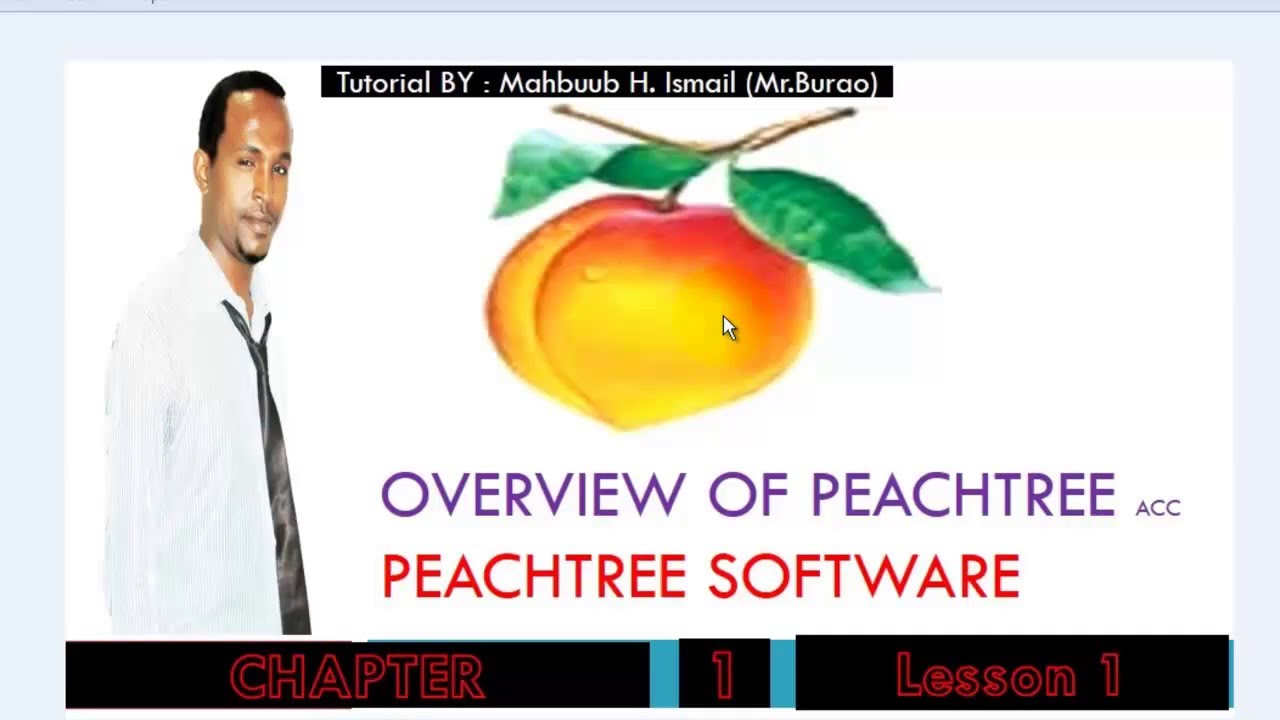 Chapter 1 Lesson 1 Overview Of Peachtree Accounting - YouTube