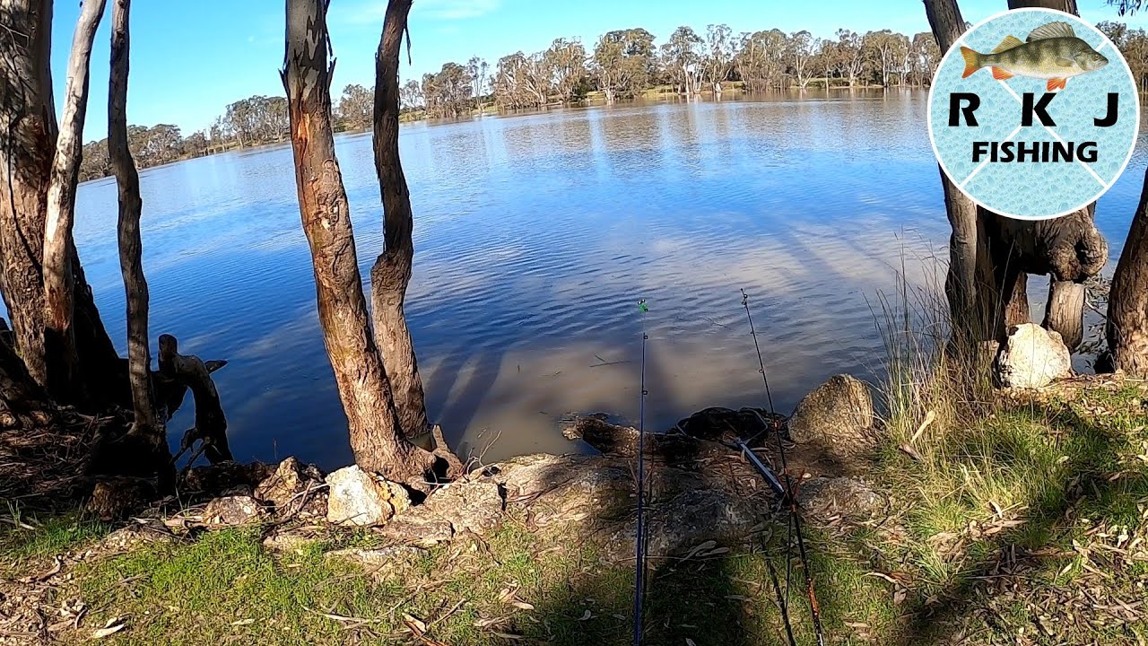 Bait fishing at Laanecoorie Reservoir (Loddon River) - YouTube