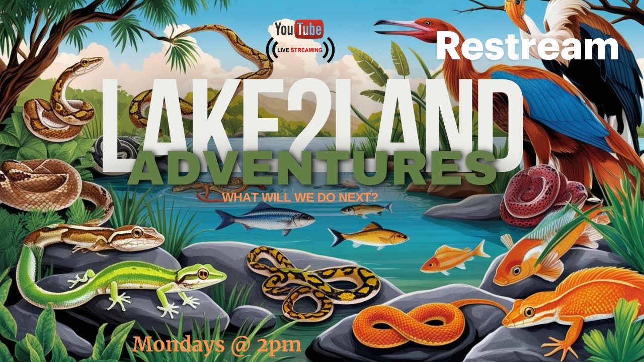 L2L Adventures -Ep.2- different DIY spawning mops - YouTube