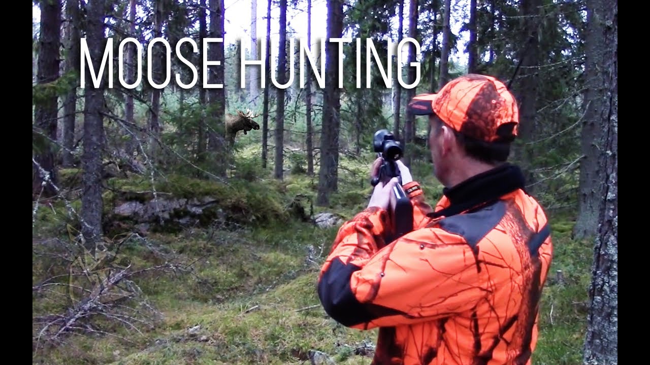 NH: Hirvijahti | Moose hunting in Finland | 2016 - YouTube