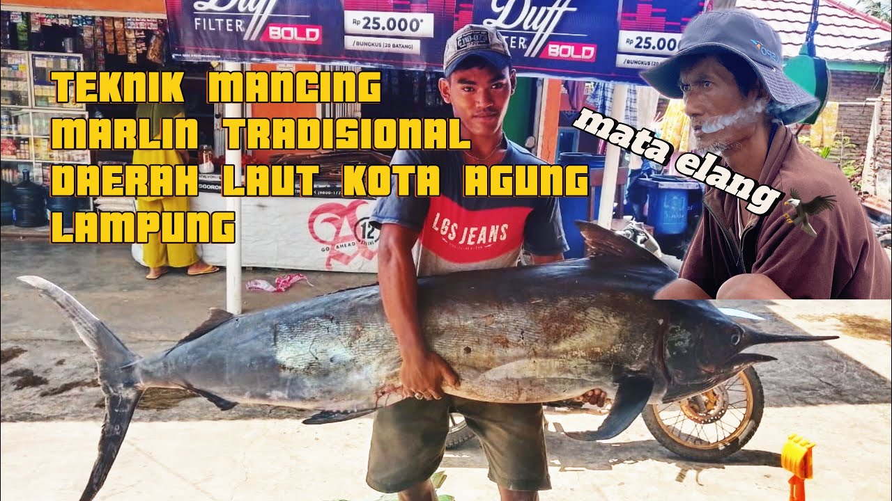 CARA / TEKNIK MANCING MARLIN DENGAN TEKNIK MANCING TRADISIONAL | Laut ...