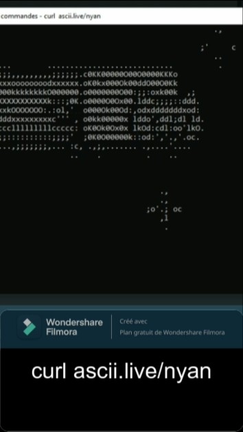 Cmd Commande Tricks Ascii Live Nyan Hacks Cmd Animation Command 2435