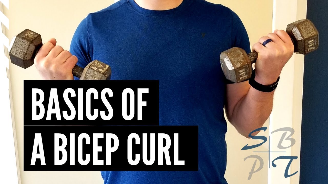 A Physical Therapist Shows You How To Do A Proper Bicep Curl - YouTube