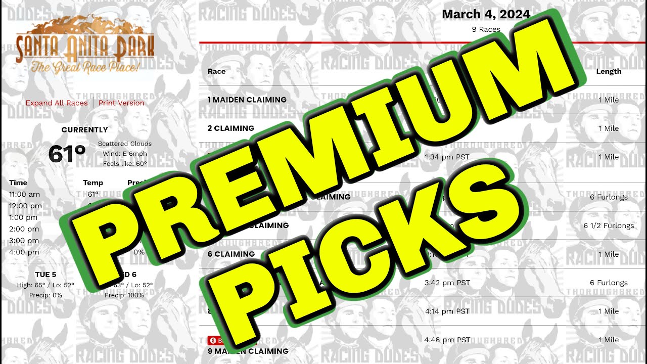 Racing Dudes Picks & Products Explained | What Are The Premium Picks ...