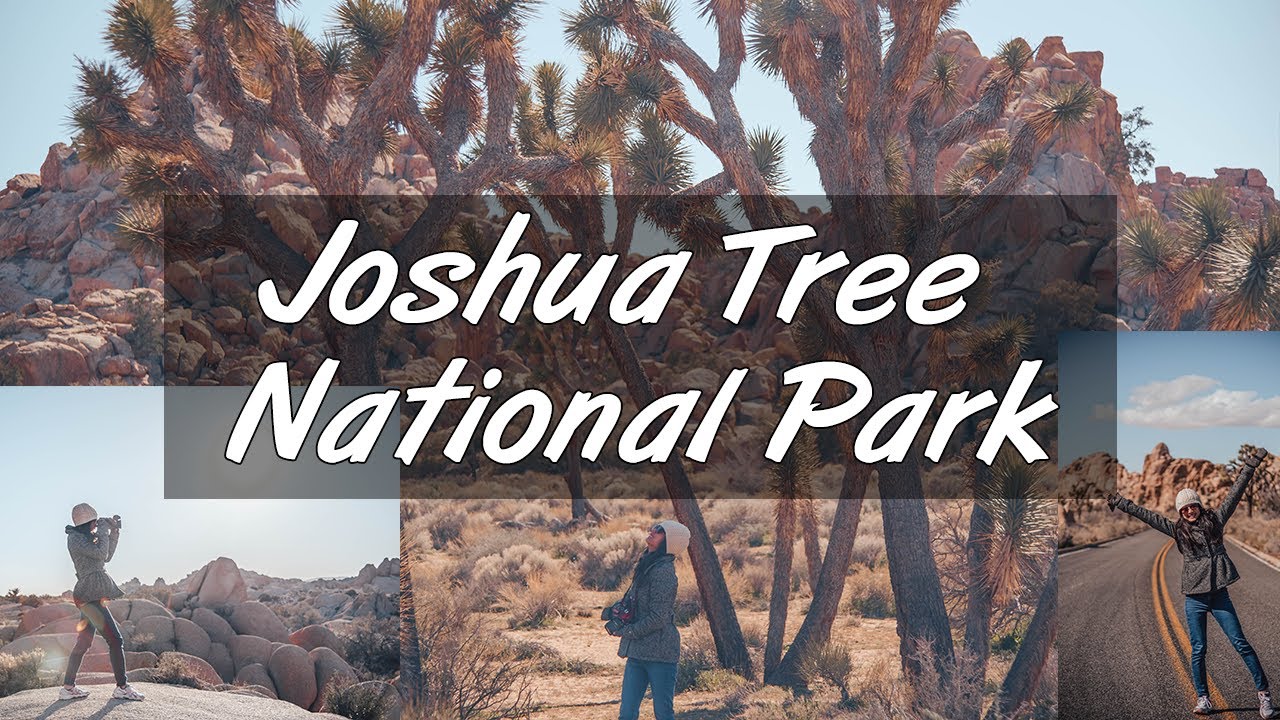 Things to do in Joshua Tree National Park | 5 MUST SEE Places - YouTube