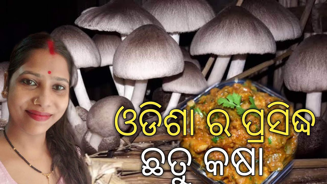 ଛତୁ ତରକାରୀକୁ ଏମିତିଥରେ ପ୍ରସ୍ତୁତକରି ଖାଆନ୍ତୁ ମାଂସ ଖାଇବା ଭଳି ଲାଗିଵ|| Chhatu ...