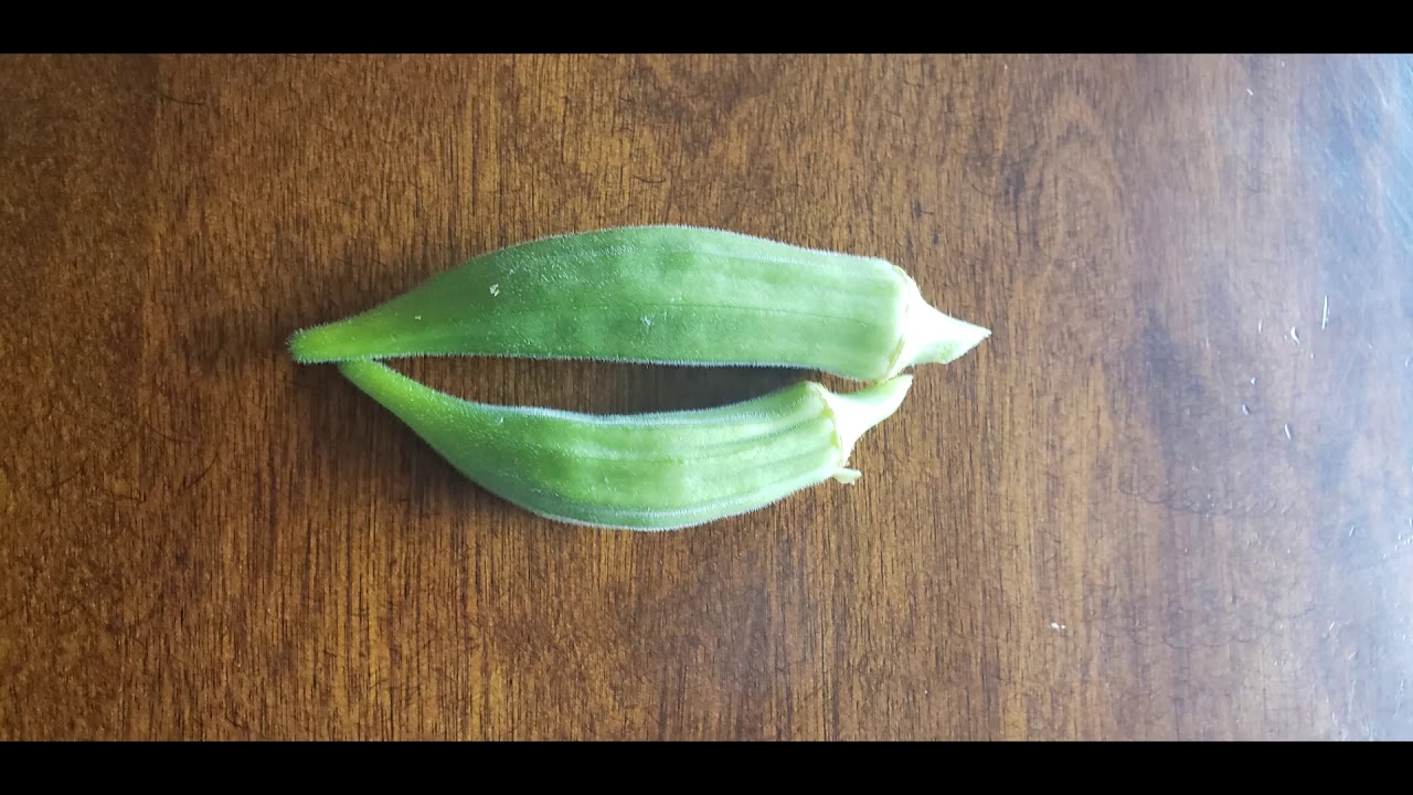 #GardenChronicles165: First Fruits (Okra)! - YouTube