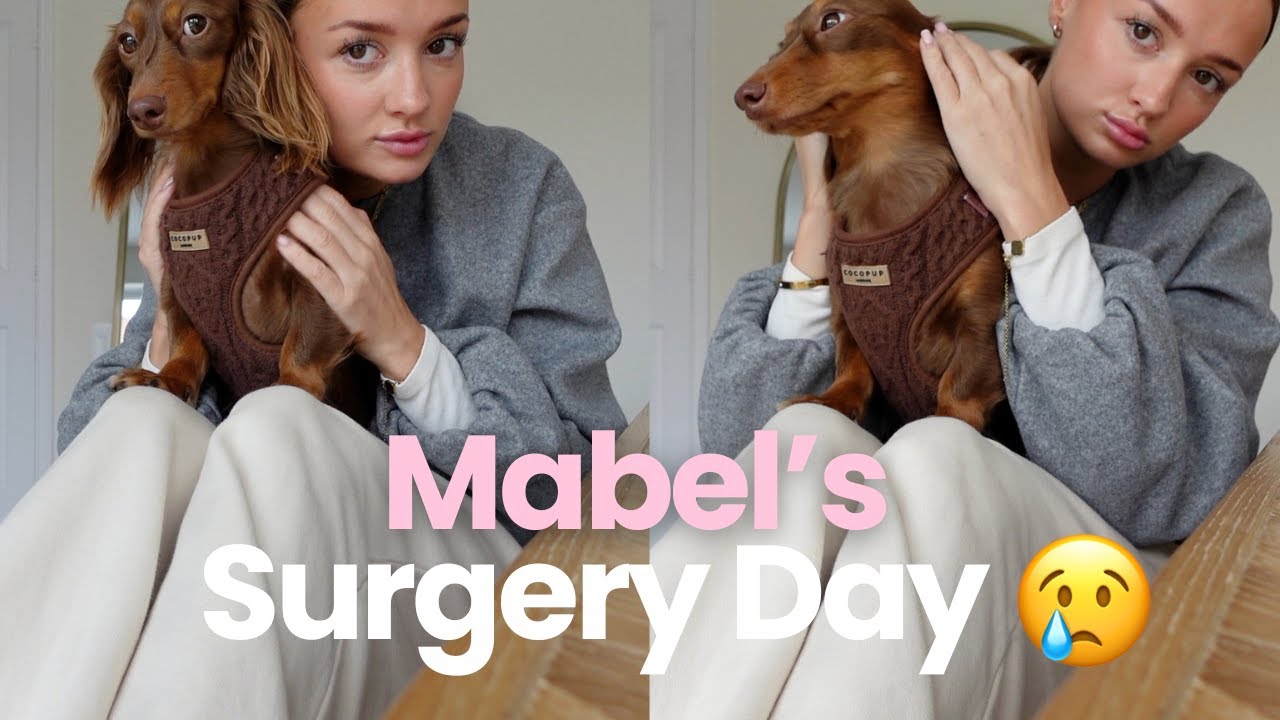 Mabel's Spay 💔 | Full Surgery Day Vlog - YouTube