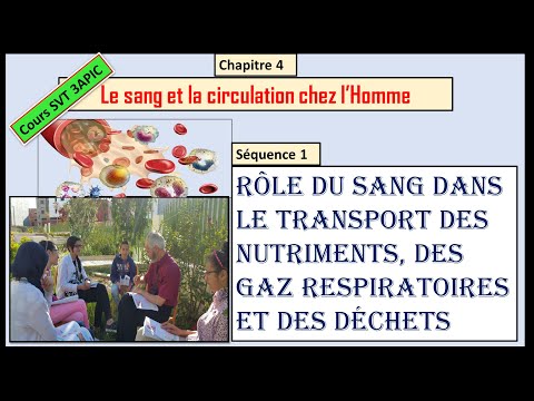 leçon SVT 3APIC rôle du sang - YouTube