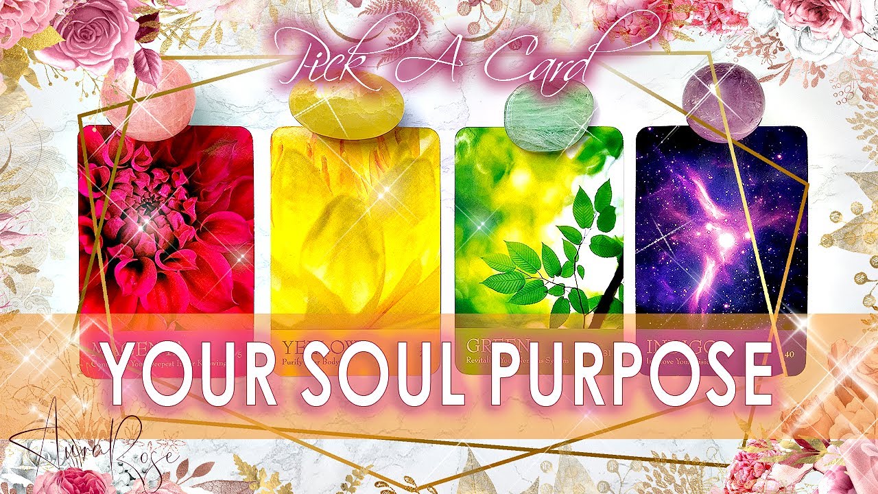 The Colour of Your Soul Purpose 🌈 Soul Analysis 💗💛💚💜 PICK A CARD 🔮 ...