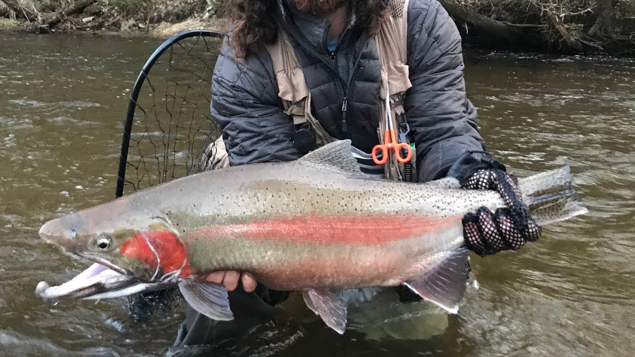 Spring Steelhead fishing Michigan - YouTube