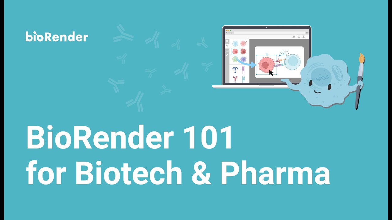 BioRender 101 for Biotech and Pharma - YouTube
