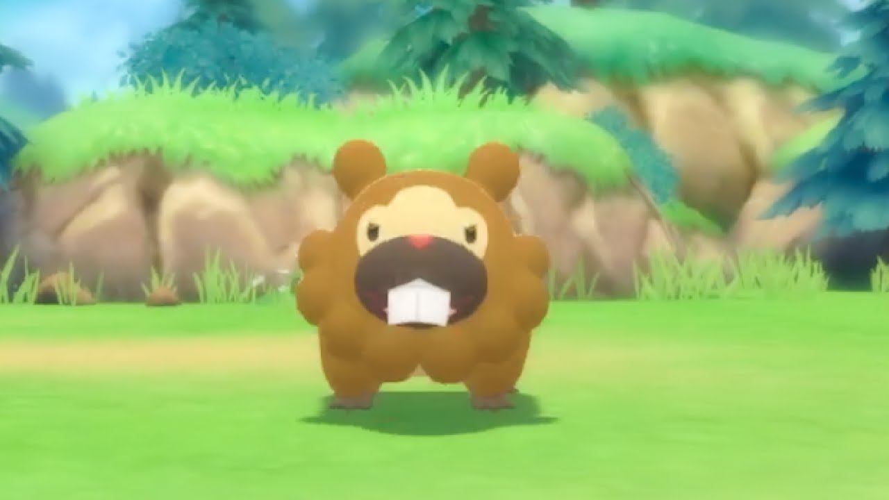 HOW TO GET Bidoof in Pokemon Brilliant Diamond and Shining Pearl - YouTube