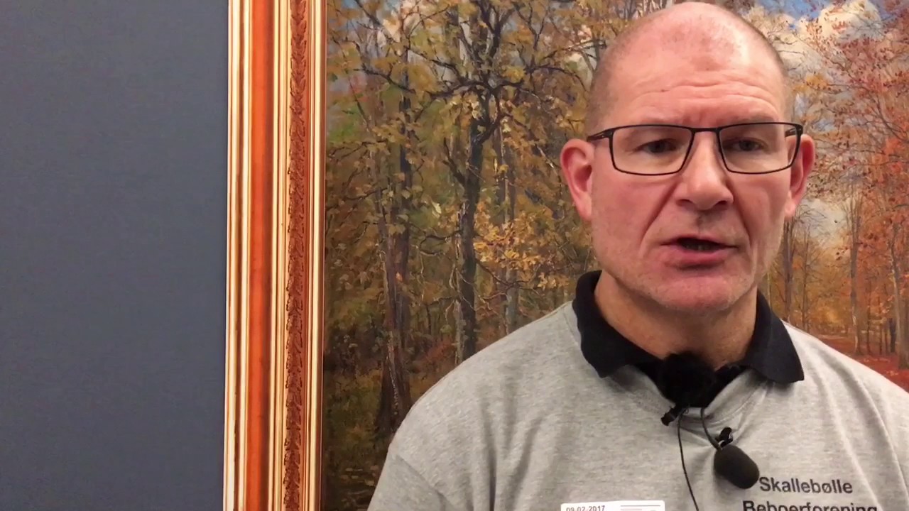 Otto Greve, formand Skallebølle Beboerforening, om foretræde for ...