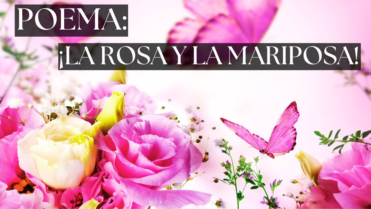 POEMA: ¡LA ROSA Y LA MARIPOSA! - YouTube