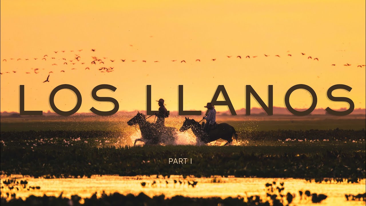 Llanos Venezolanos Llanos Venezolanos Imagen De Archivo. Imagen De