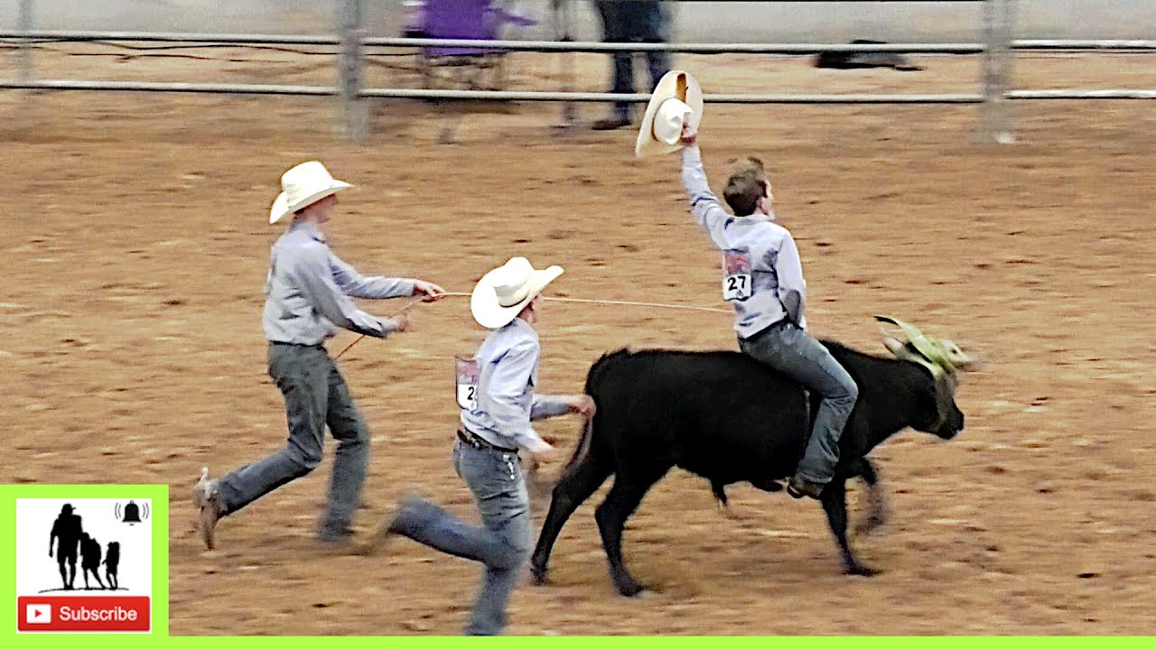 WRCA Wild Steer Racing - YouTube
