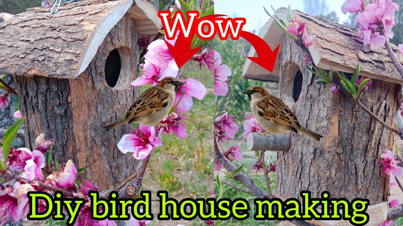 Diy bird house !! Simpal,easy & affordable!! Bird house making for wood ...