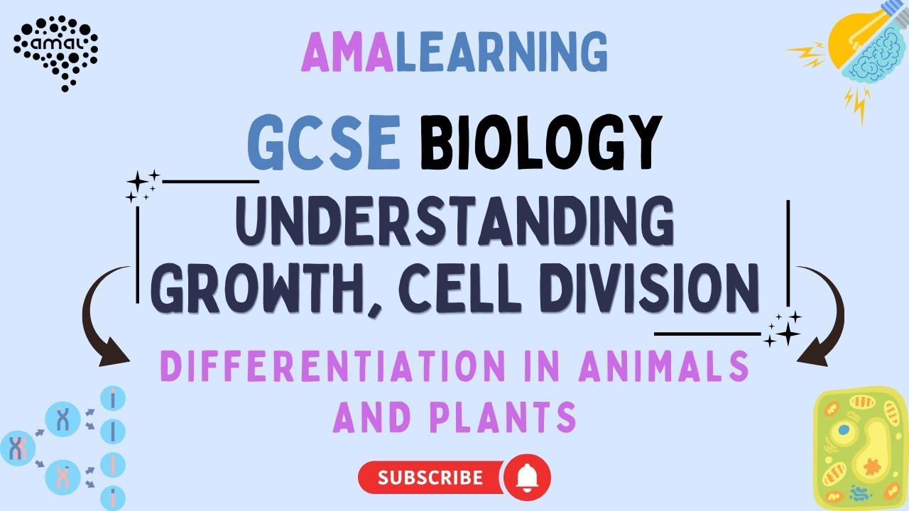 GCSE Biology - Understanding Growth, Cell Division, and Differentiation ...