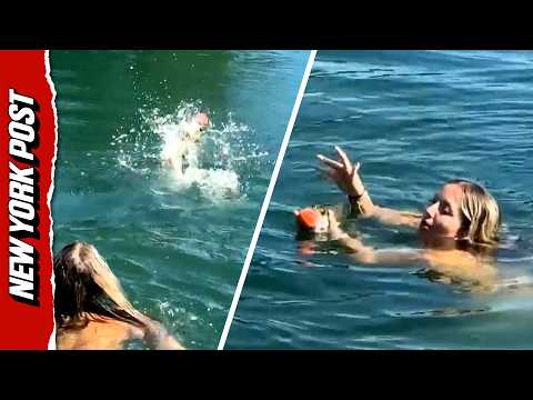 Fish Steals the Show During Dog's Game of Fetch