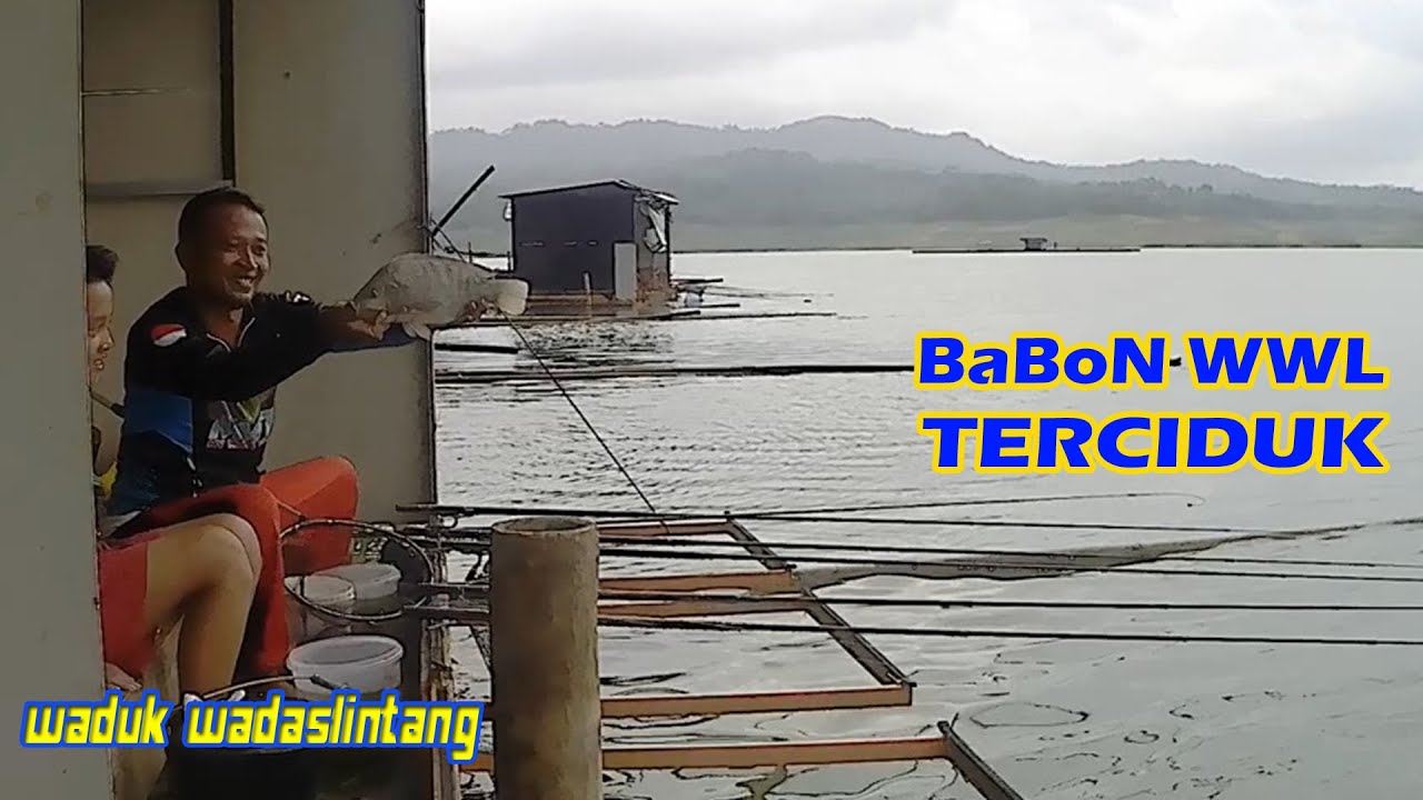Mancing Babon Nila Waduk Wadaslintang - YouTube