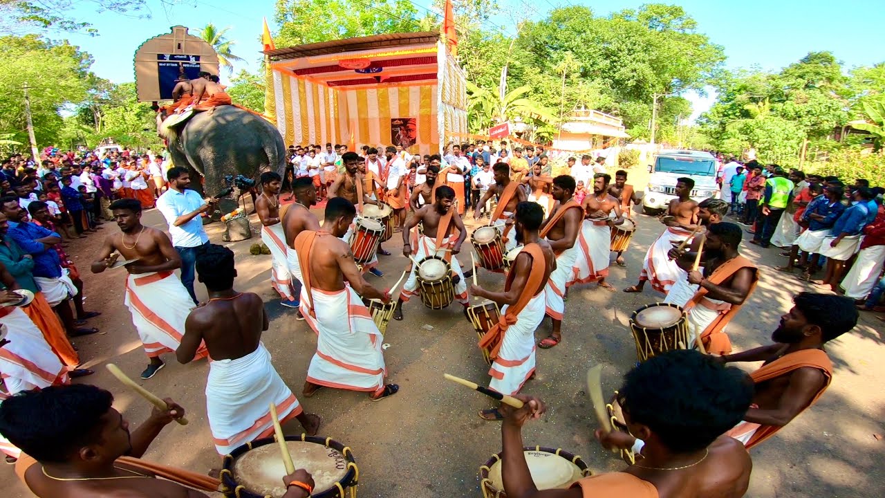 KAVI PADA singarimelam പകൽ പരിപാടി @ Anayadi Pooram 2020 | Team ...