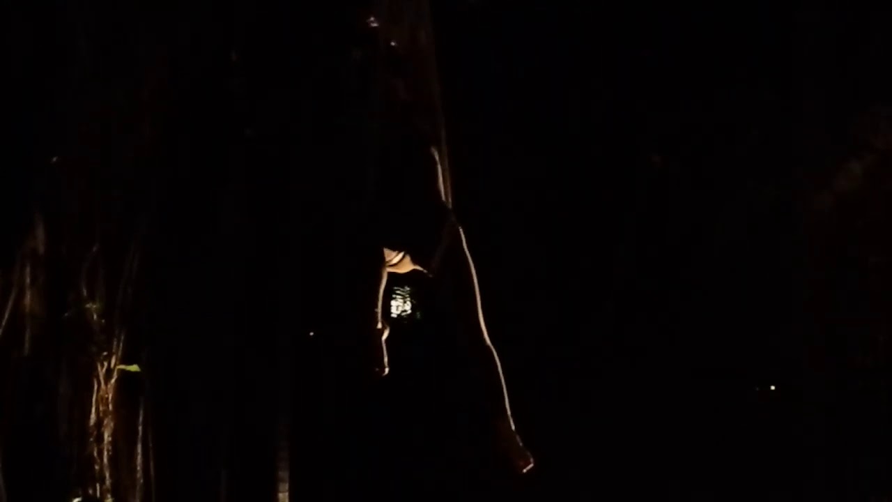 Binti Dance Ensemble 2011 Sleepless Nights Jennifer Smallwood Aerial 2 ...