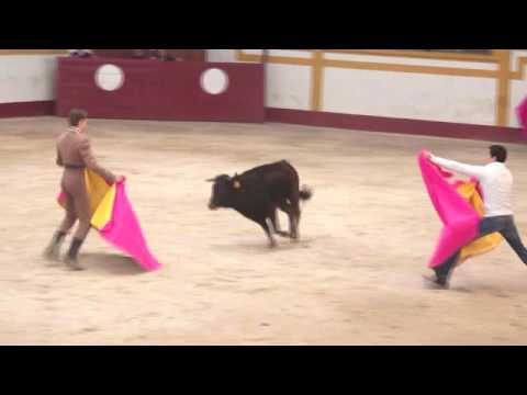 19.02.12 Magescq Adour Aficion Janis Dorian Andy Antoine - YouTube