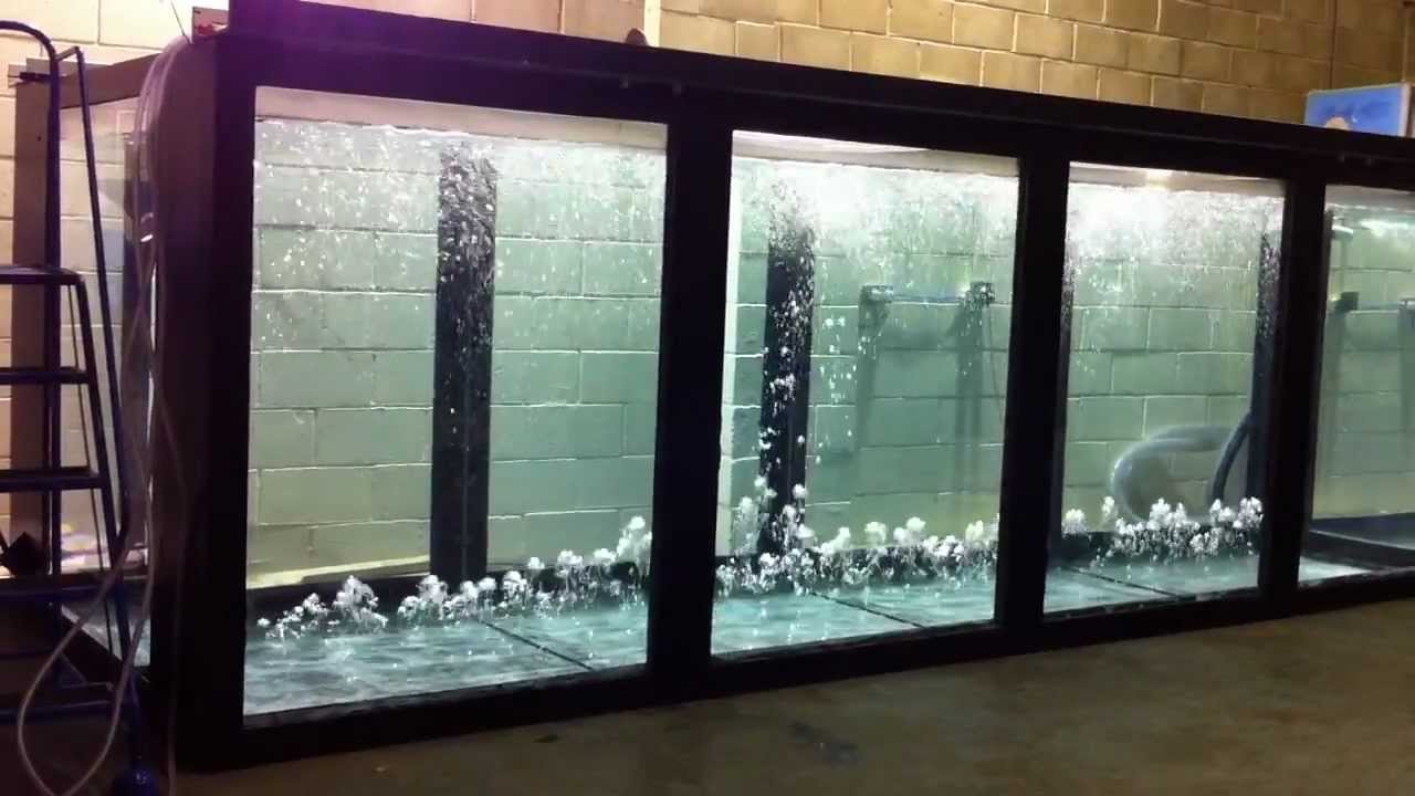 AquaTheatre Human Aquarium Bubble Effects - YouTube