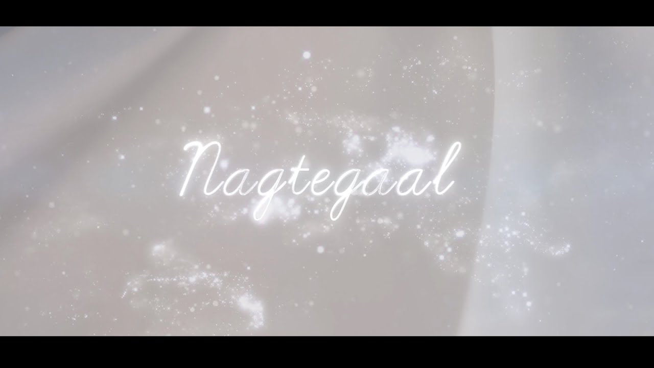 Gabi Swanepoel - Nagtegaal (Lirieke Video) - YouTube