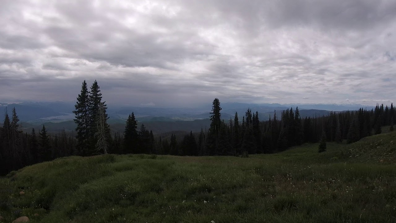 Tree-line stream - YouTube