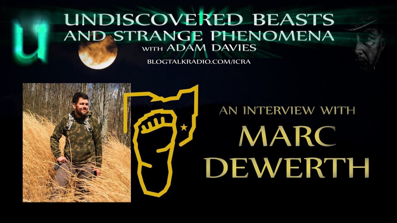An Interview with Marc DeWerth! - YouTube