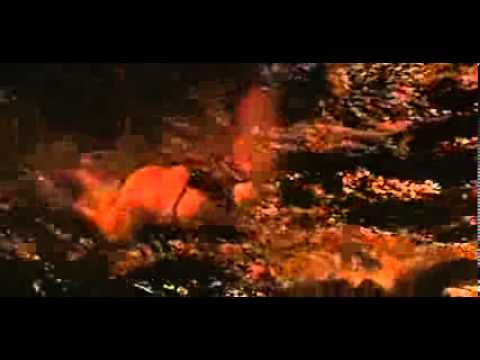 DIMPLE KAPADIA IN SWIM SUIT   SAGAR   YouTube