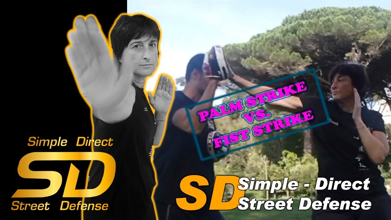 SD. Self Defense Series 6. “Palm strike vs. Fist strike”.👊 💪 - YouTube